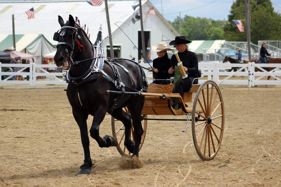 Contact Us Form - Crawford County Fair