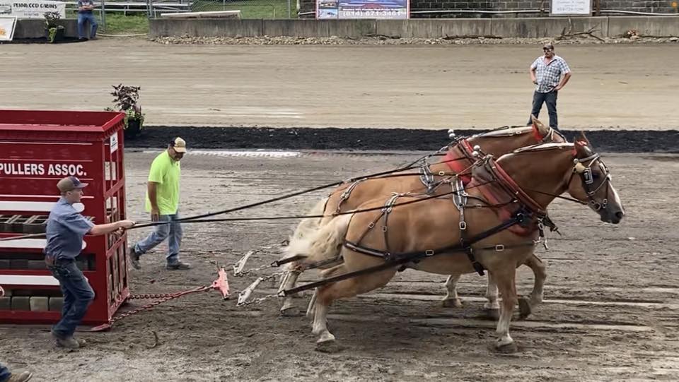 Entertainment - Crawford County Fair